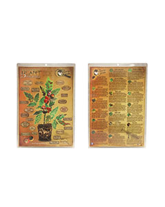 Identifying Plant Diseases | Spokane Organics